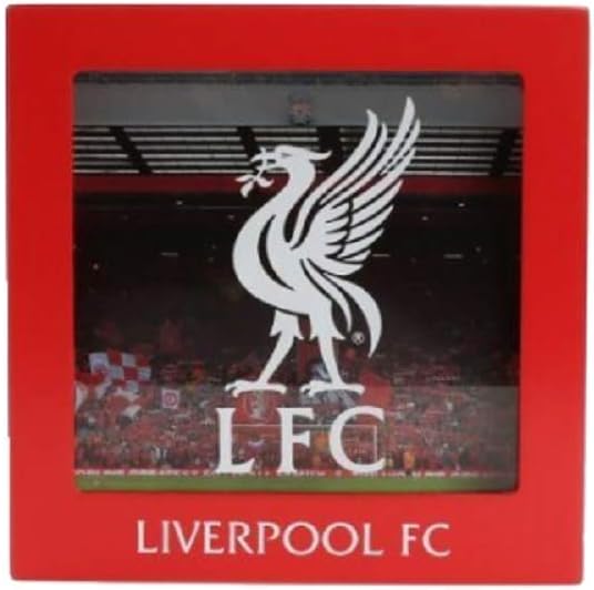Liverpool FC Official Money Box – HannWorld